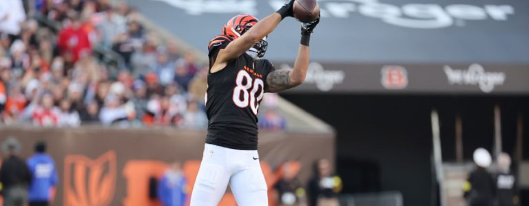 NFL Week 13 Waiver Wire: Top Pickups at Each Position | FantasyLabs